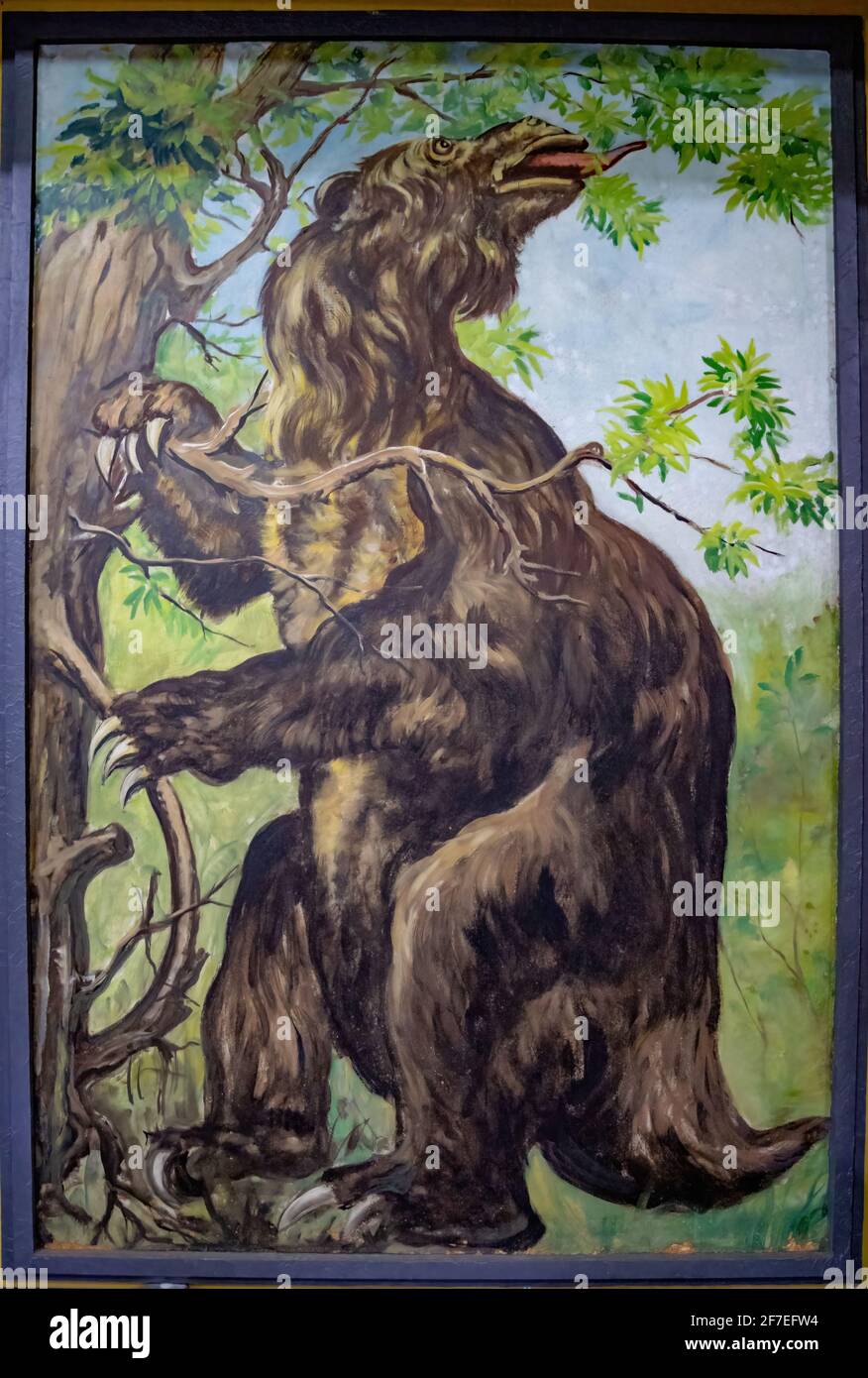 Giant ground sloth megalonyx hi-res stock photography and images - Alamy