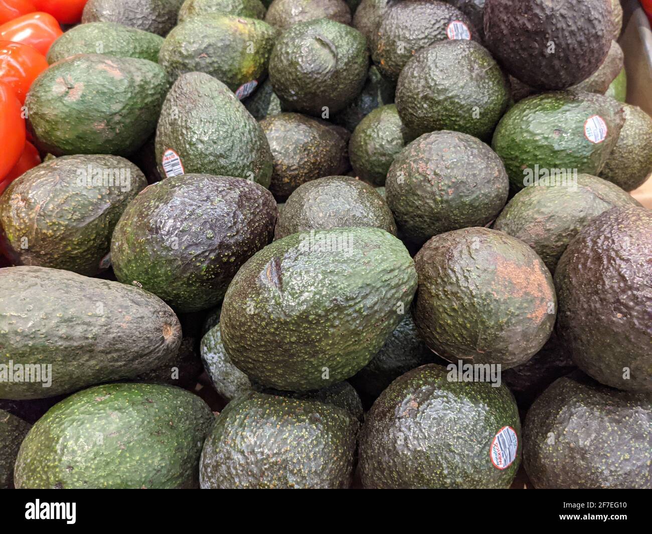 Avacodo hi-res stock photography and images - Alamy