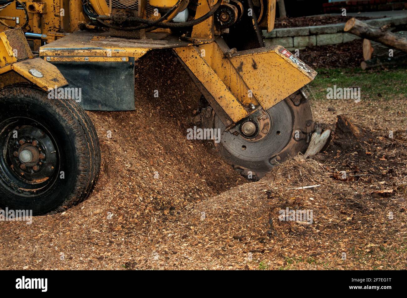 Stump grinder hi-res stock photography and images - Alamy