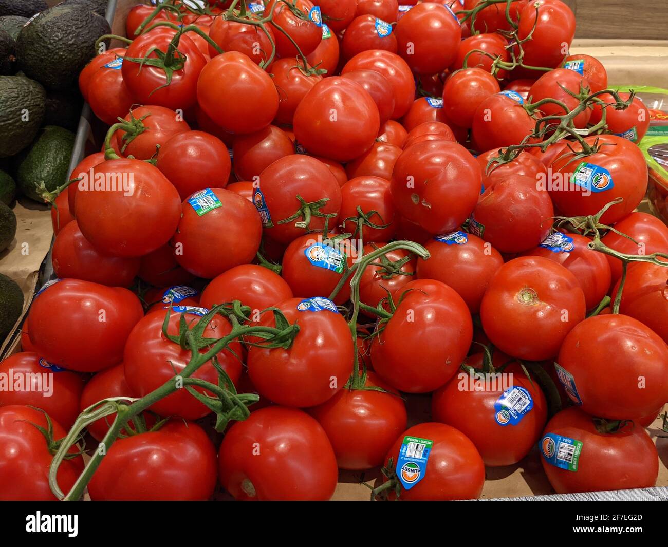 Tomato 'roma' vine hi-res stock photography and images - Alamy