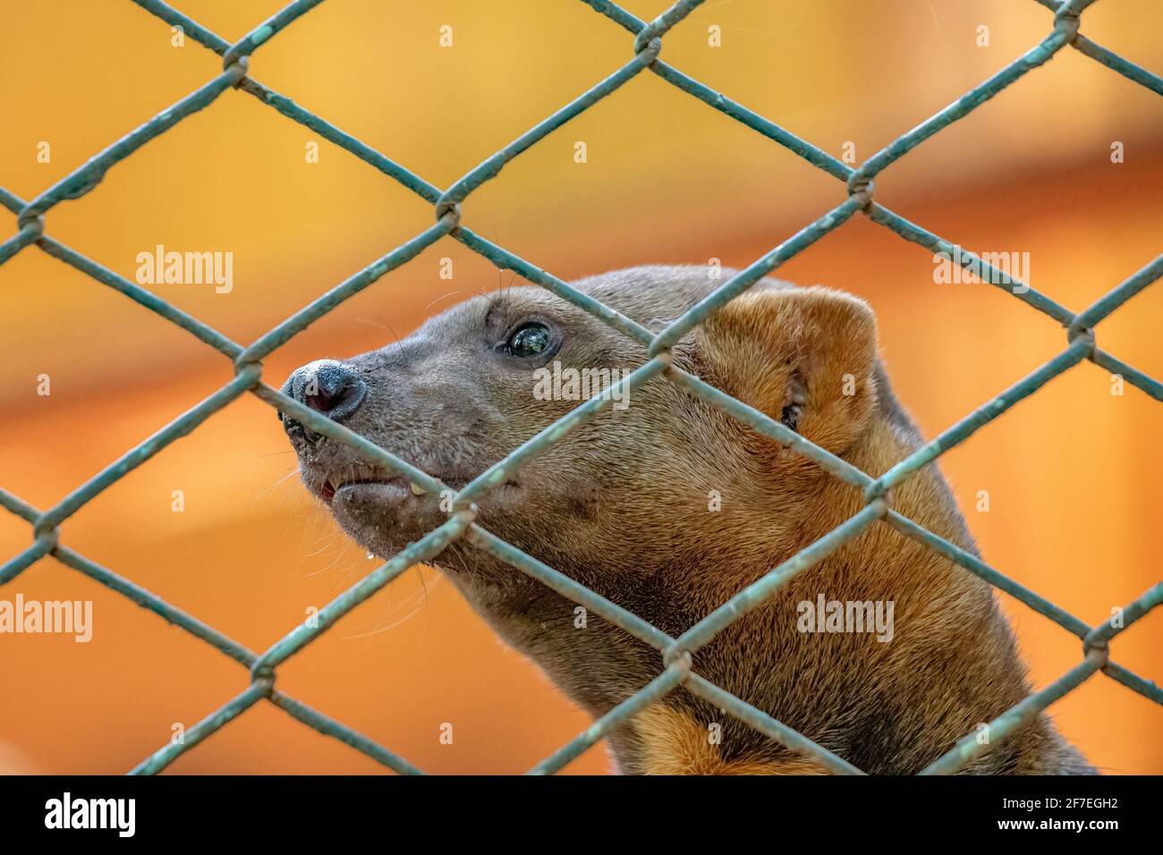 Eira Barbara High Resolution Stock Photography and Images - Alamy