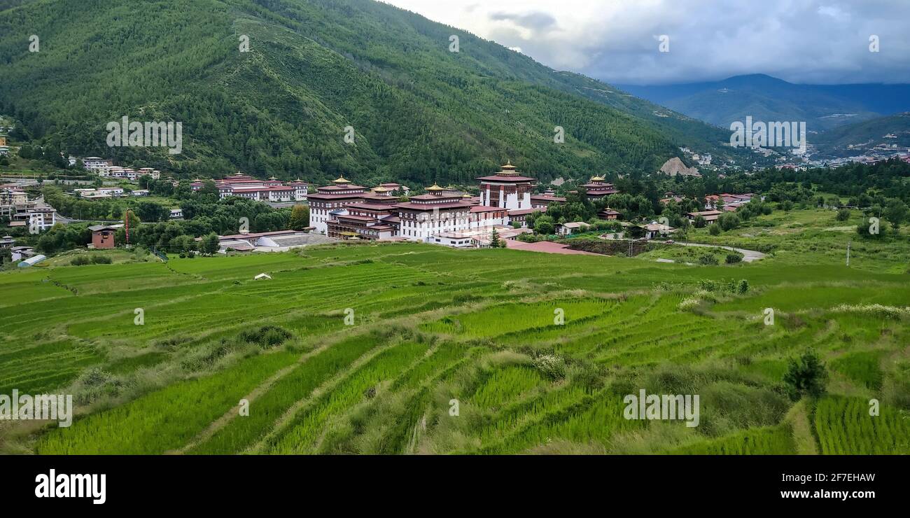 Paddy field in the capital city of Bhutan Stock Photo - Alamy