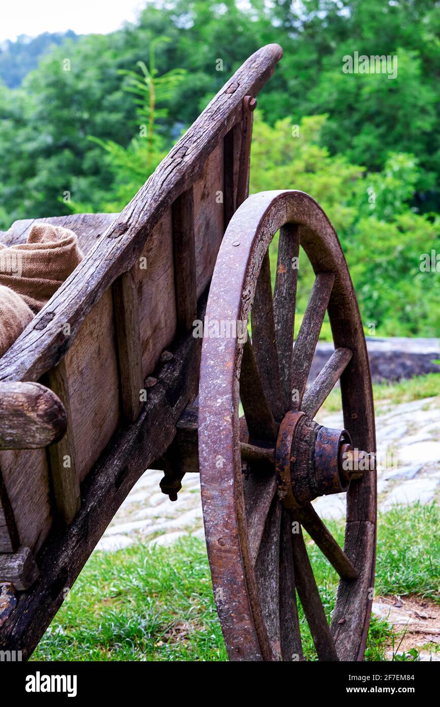 Ancient Wheel Carts
