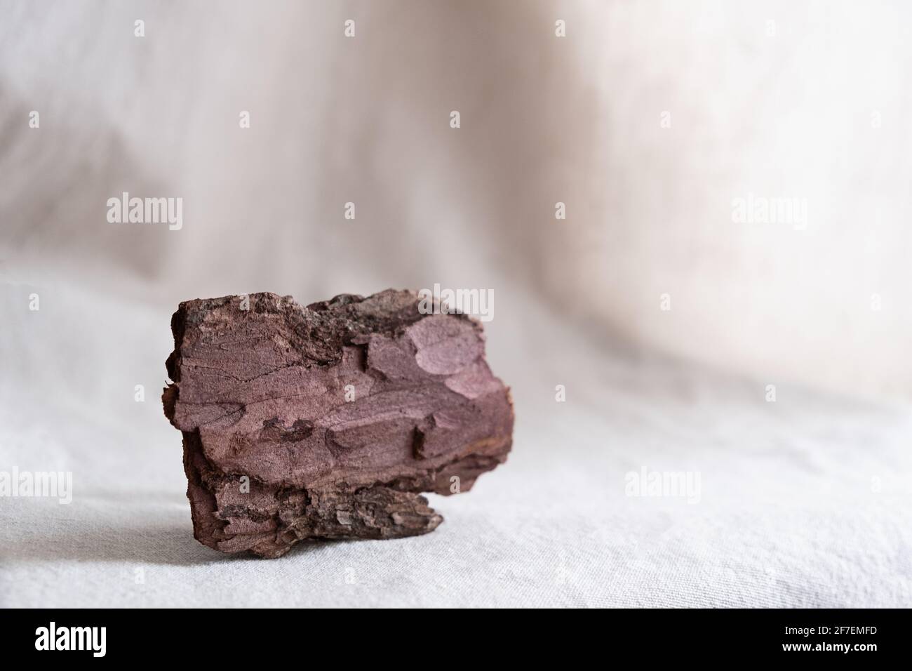 Natural stand of bark tree for presentation and exhibitions on pastel ...