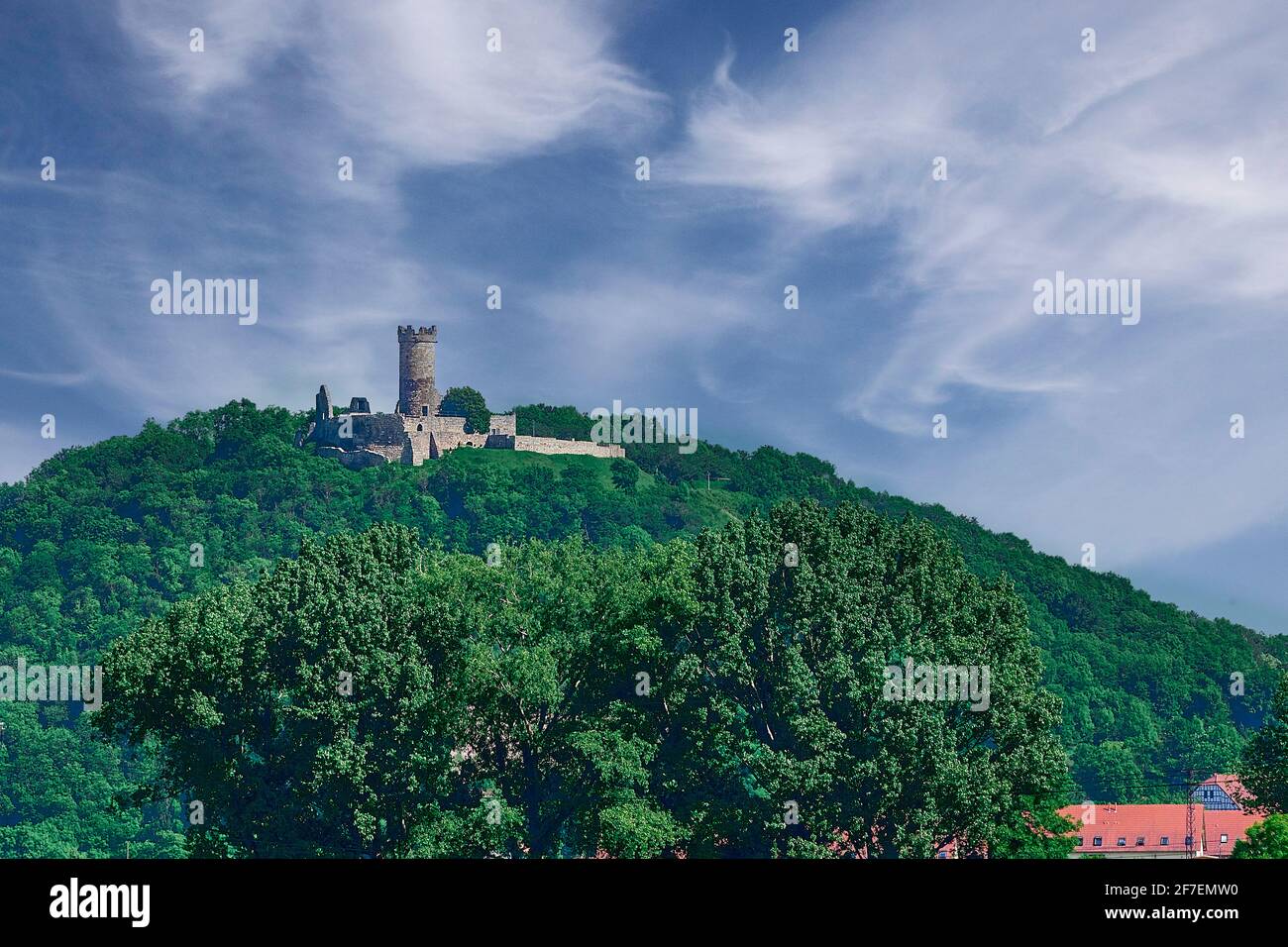 German castle medieval trees hi-res stock photography and images - Alamy