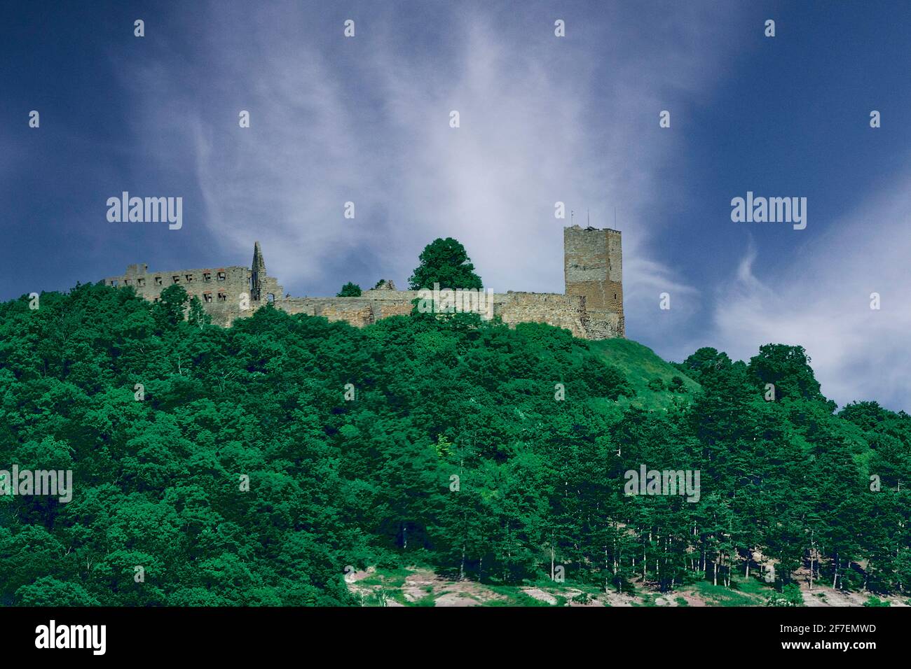 German castle medieval trees hi-res stock photography and images - Alamy