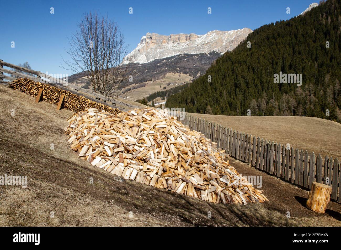 Big wood stack prepared for heating season Stock Photo - Alamy