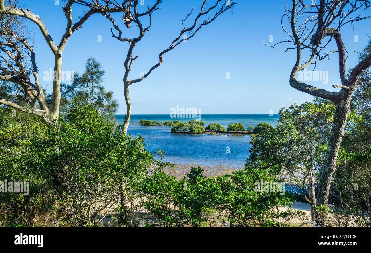 Moreton Bay shore at Sandstone Point, Moreton Bay Region, Queensland ...