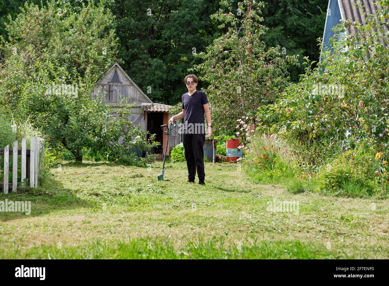 Trimer hi-res stock photography and images - Alamy