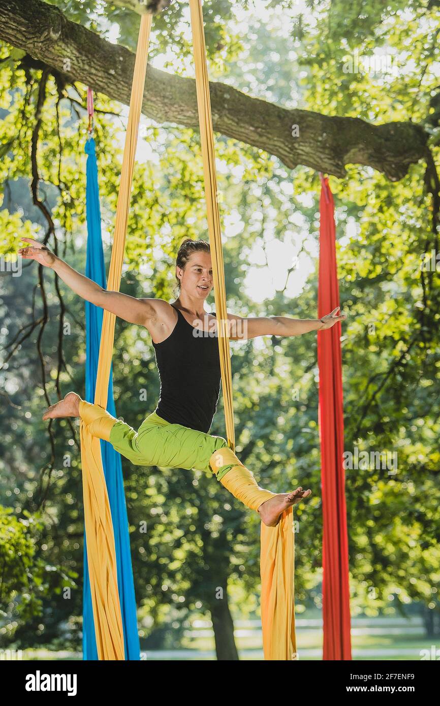 Aerial silk artist performing movements on ropes hanging from trees on ...