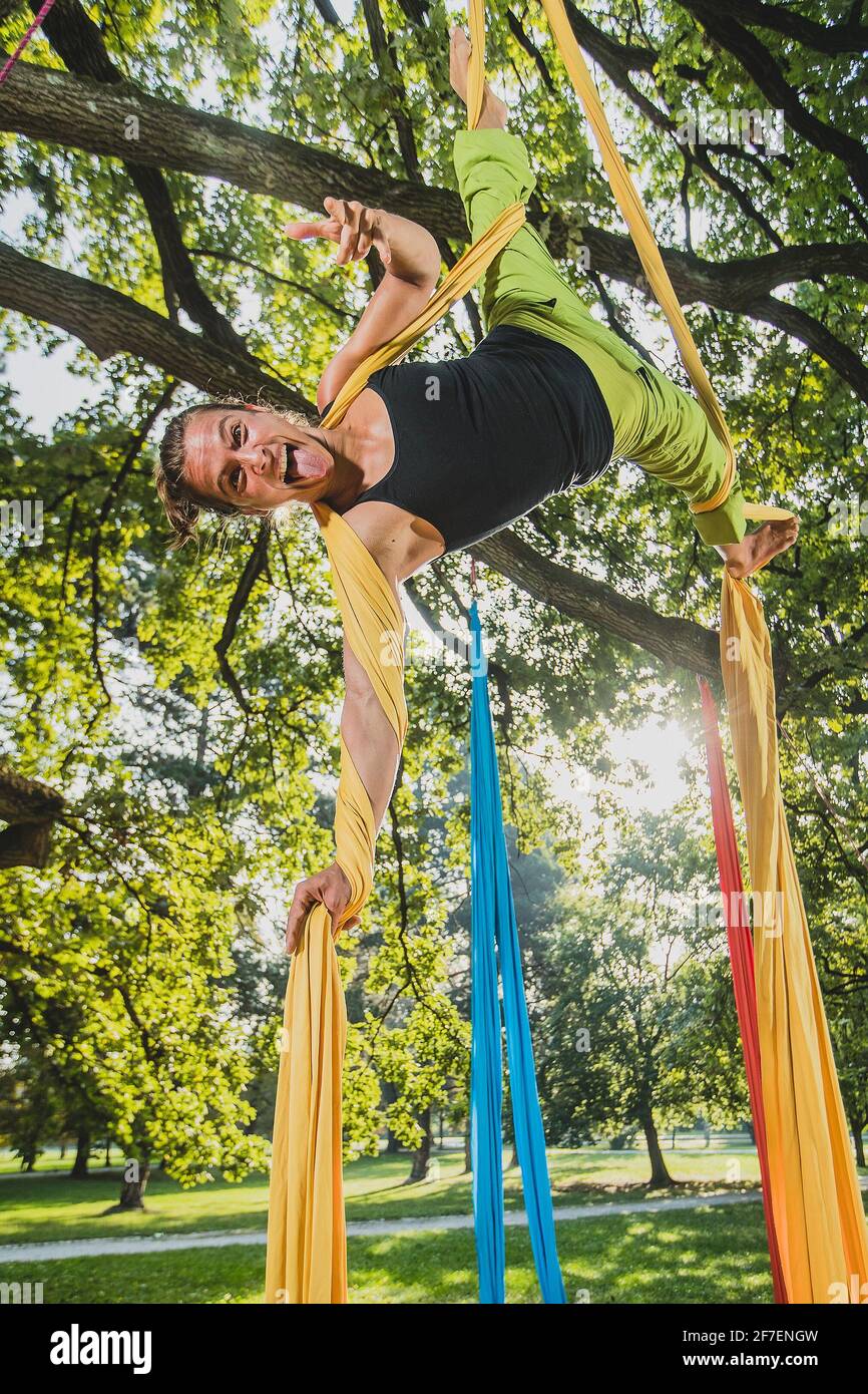 Aerial silk artist performing movements on ropes hanging from trees on ...
