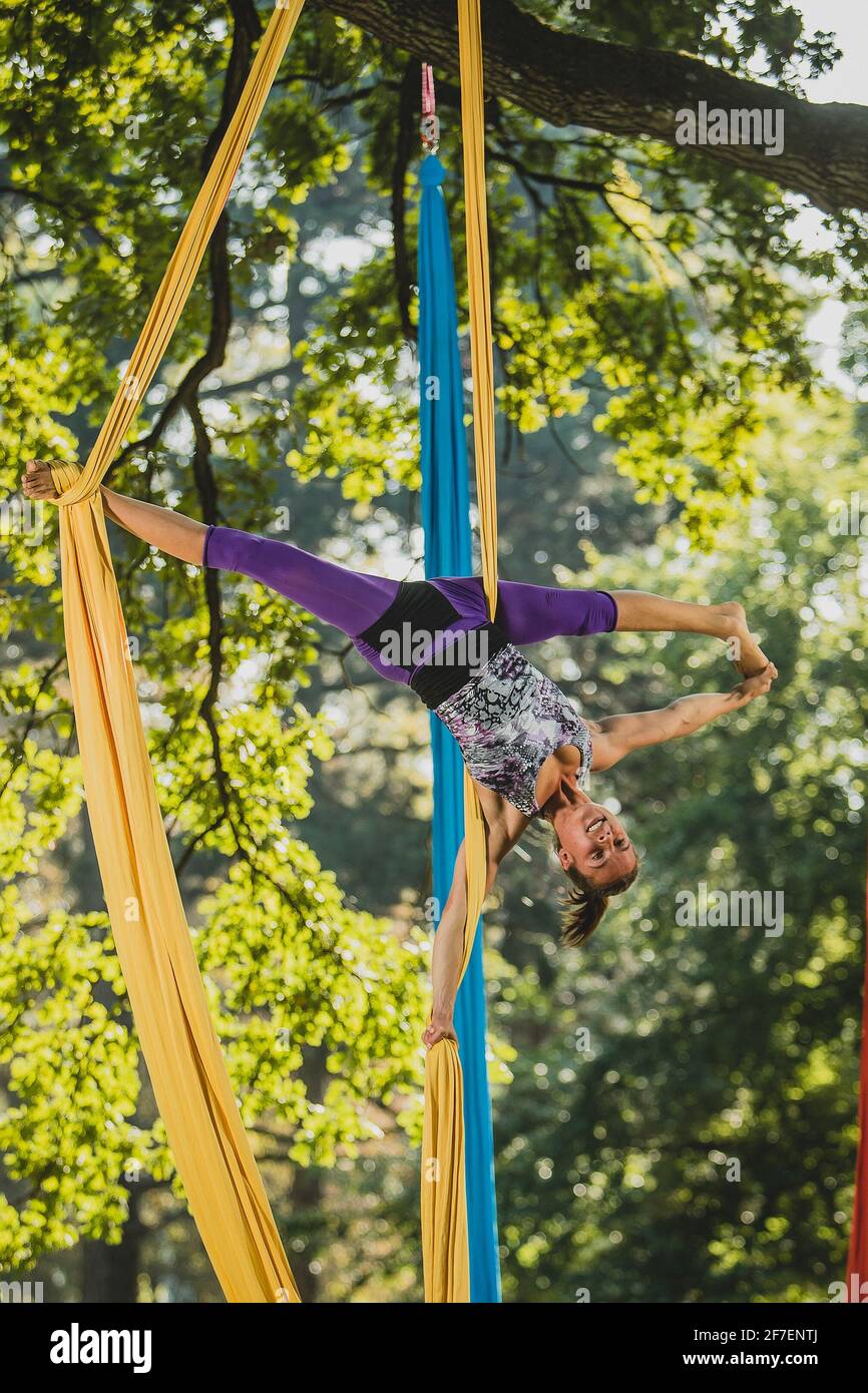 Aerial silk artist performing movements on ropes hanging from trees on ...