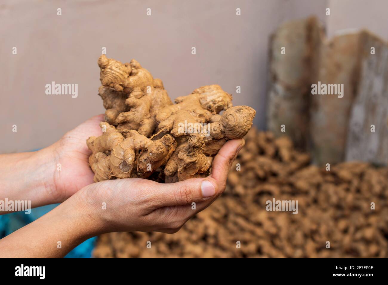 Fight off illness hi-res stock photography and images - Alamy