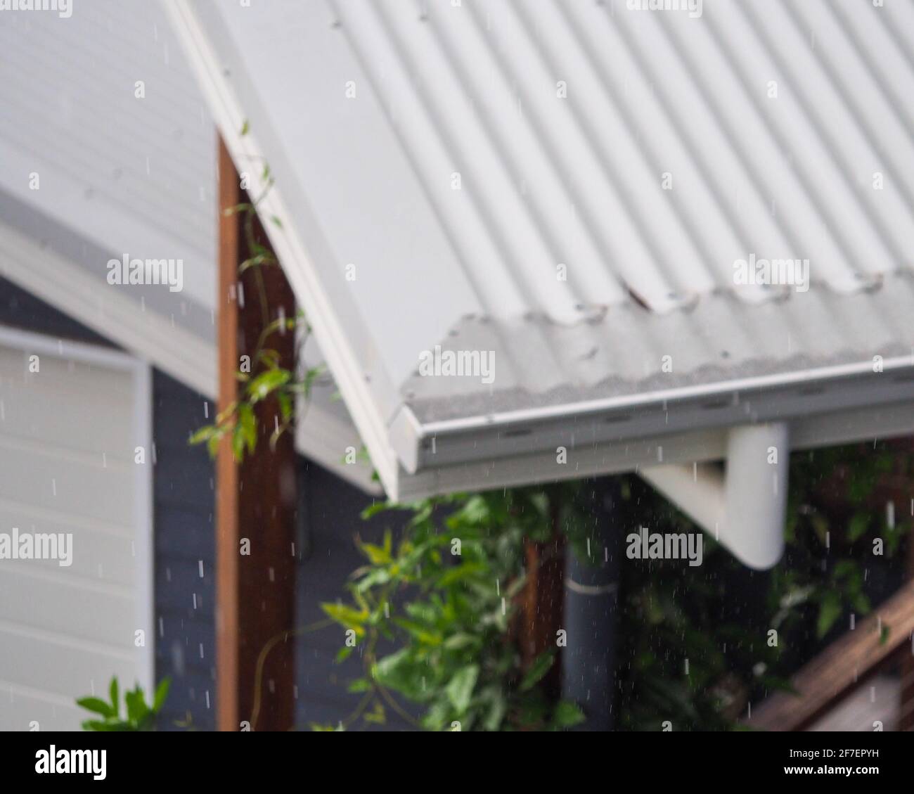 Raining! Stormy weather producing heavy torrential rainfall onto a ...