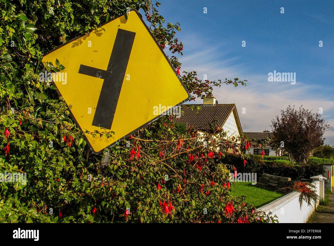 Traffic sign in green foliage with red flowers in ireland. Irish ...