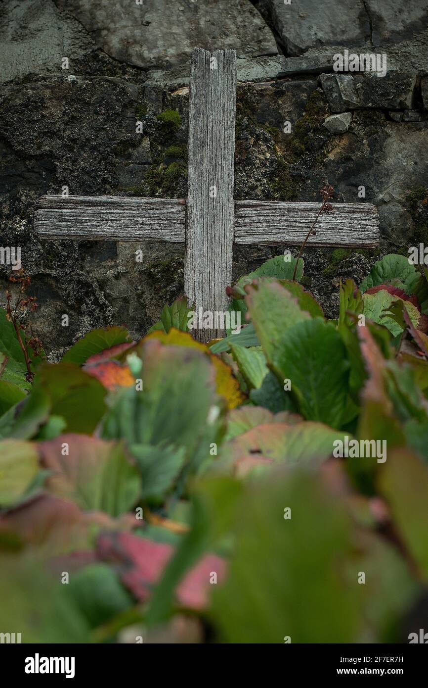 Wooden cross on a grave over a stone background. Green leaves in the ...