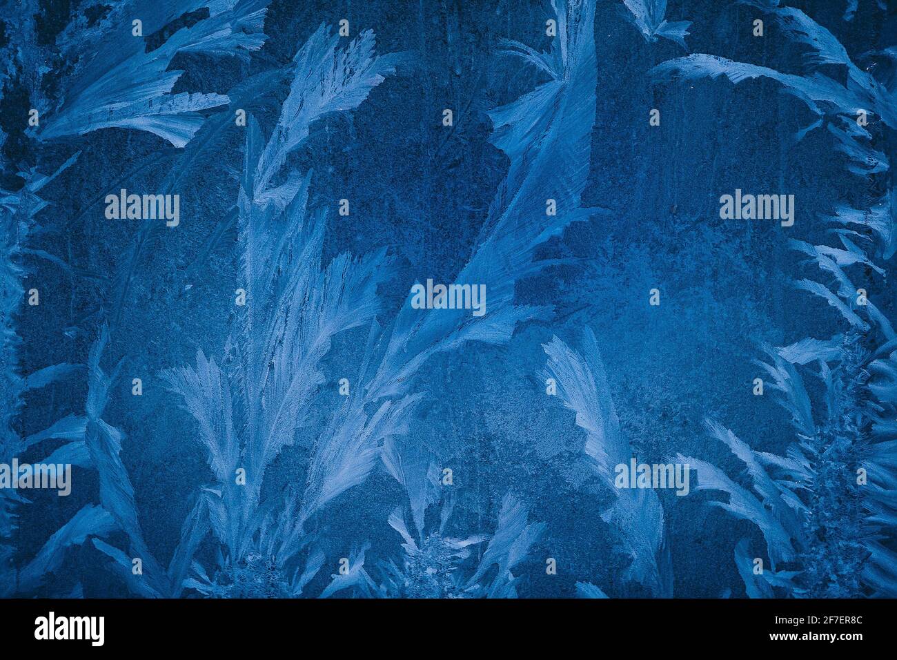 Frost pattern or flower on glass of a window. Frozen ice flower forming ...