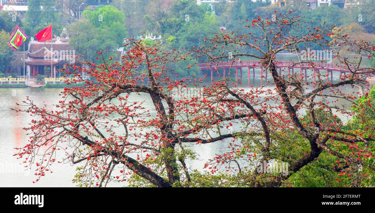 Big tree in color sky Stock Photo - Alamy