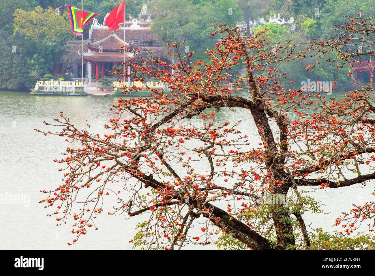 Big tree in color sky Stock Photo - Alamy