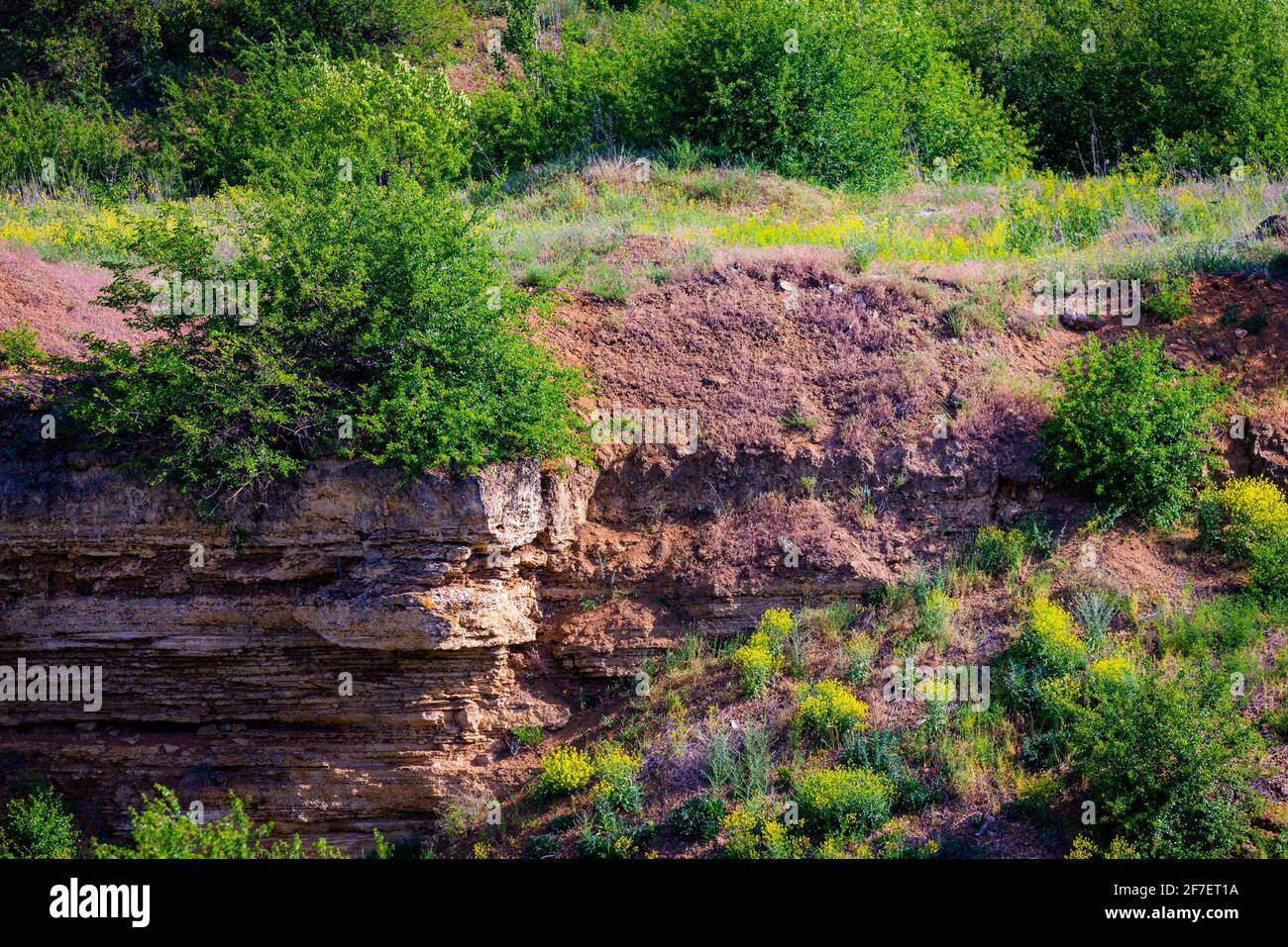 Layers of sedimentary rock outcrops, Sandstone, silt outcrops Stock ...