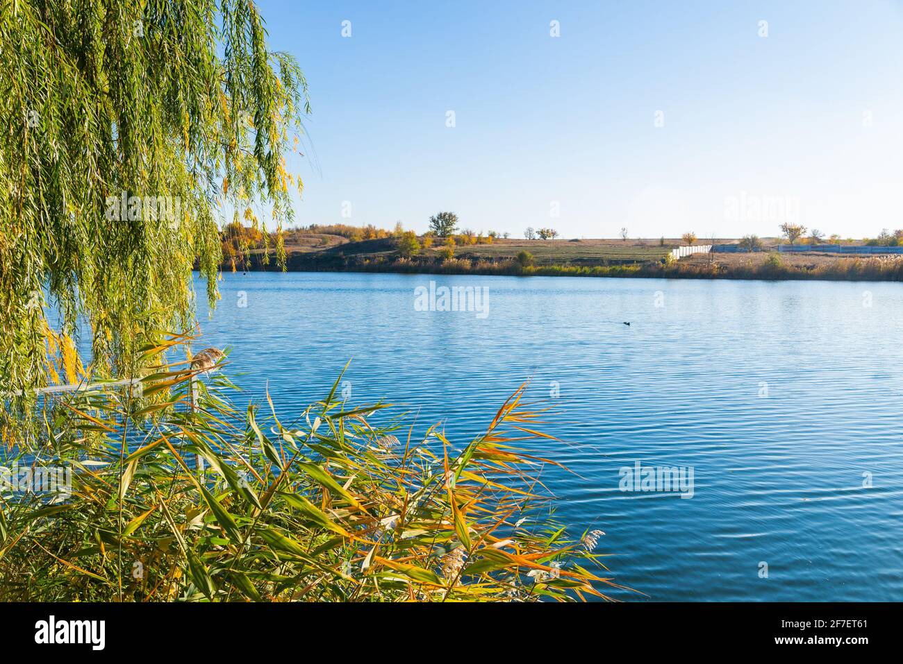 beautiful autumn park at evening before sunset Stock Photo - Alamy