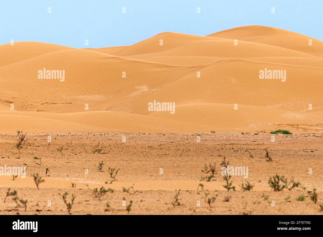 Bend of the ridge of a sand dune in the desert Stock Photo - Alamy