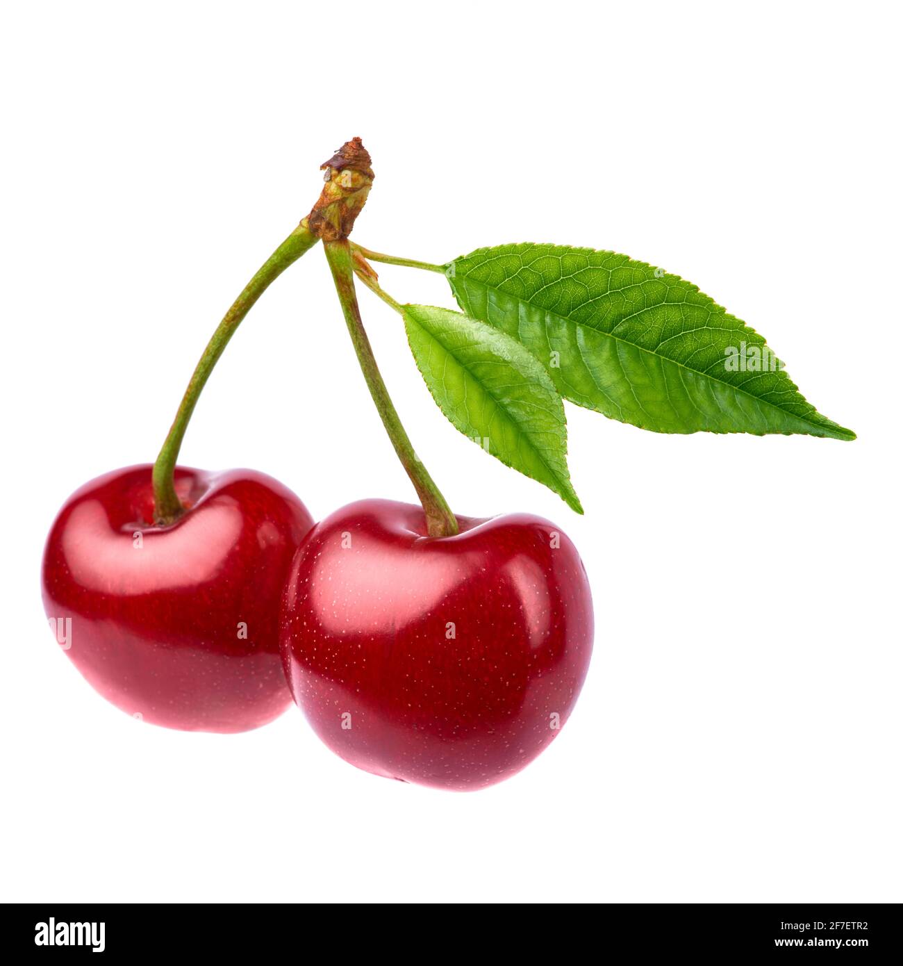 sweet cherry fruits isolated on white background Stock Photo - Alamy