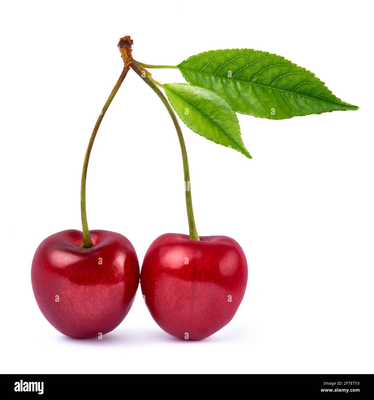sweet cherry fruits isolated on white background Stock Photo - Alamy