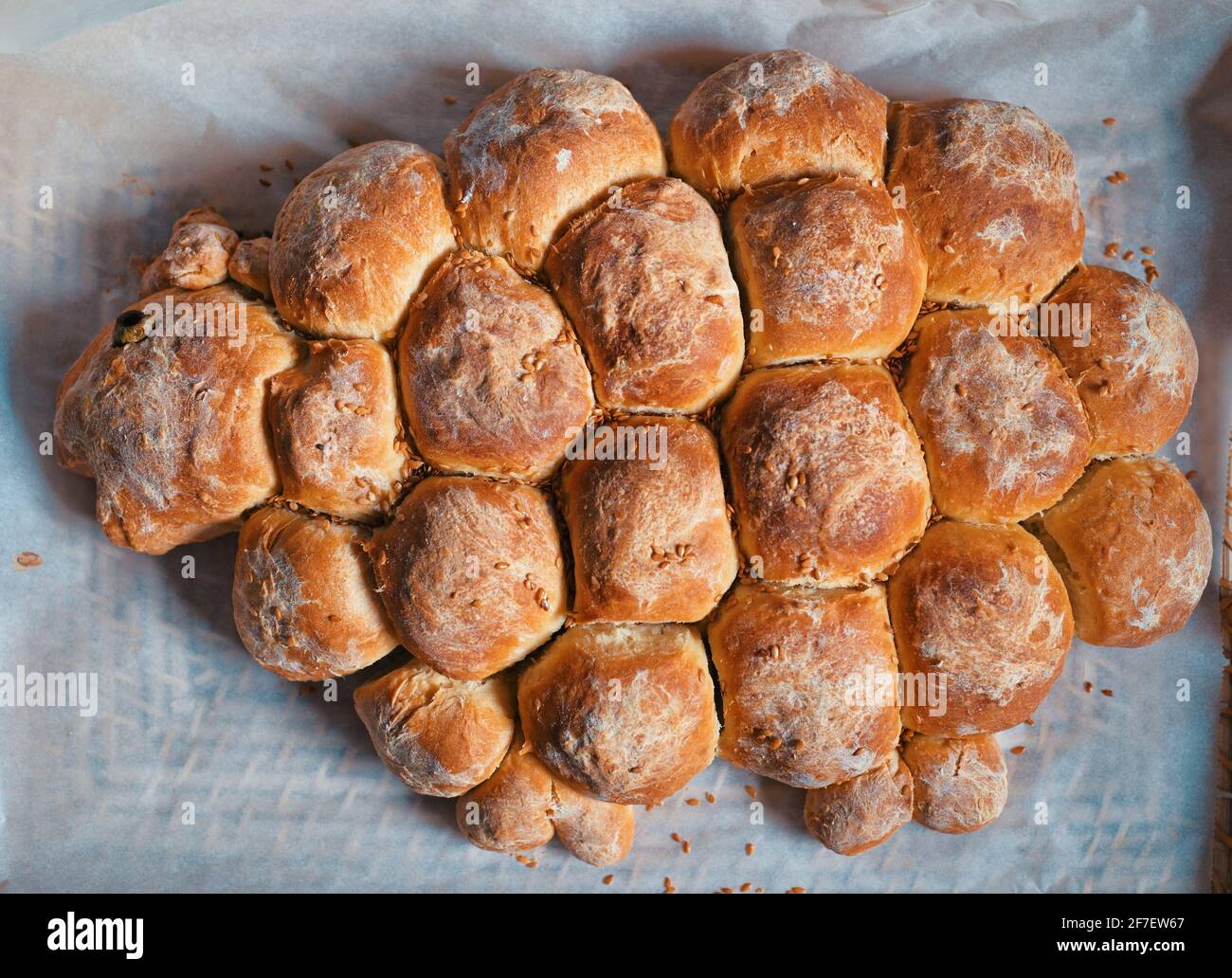 Sheep eating grain hi-res stock photography and images - Alamy