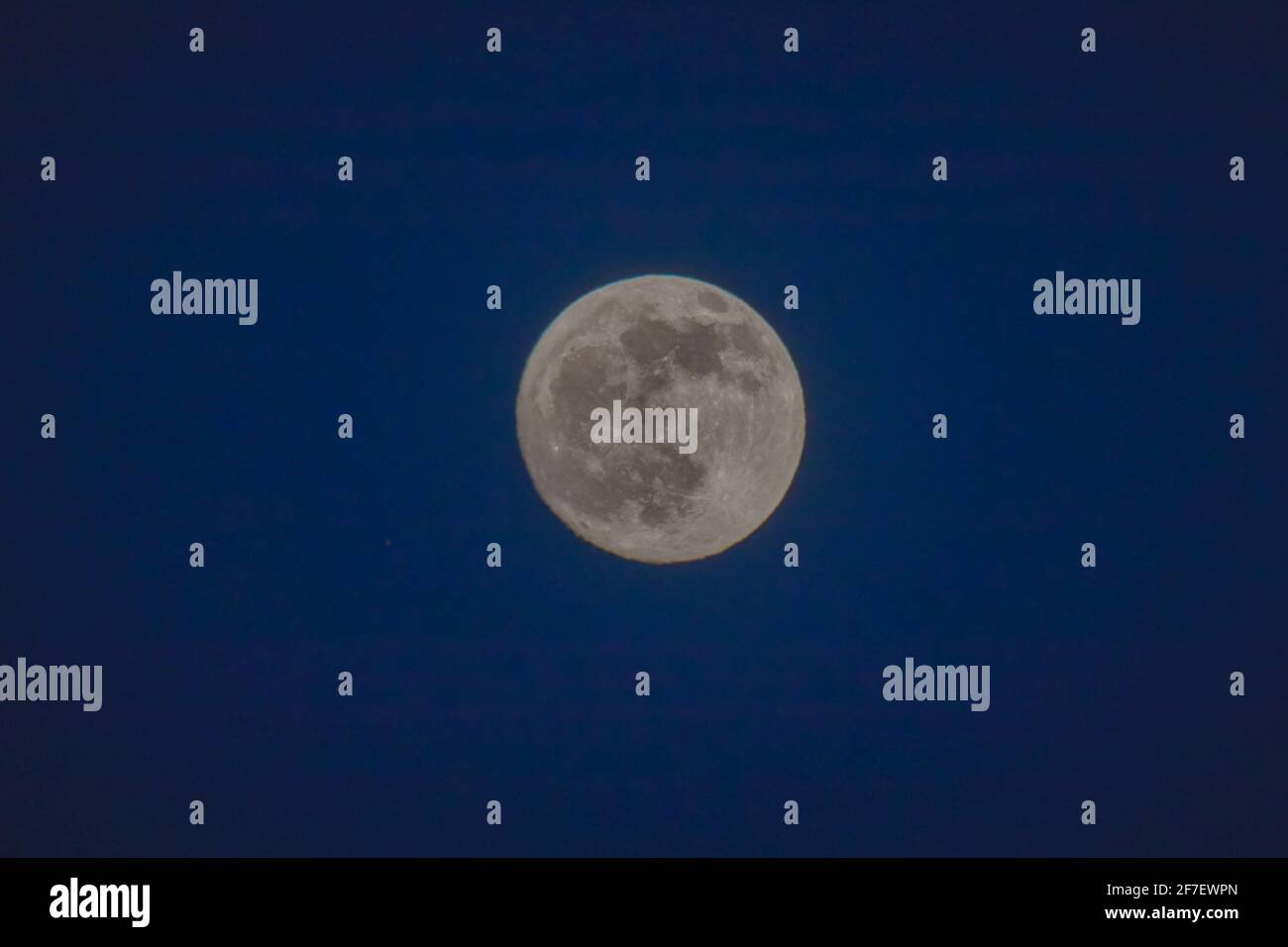 Full moon on a dark blue sky. Bright shiny moon on the sky in winter ...