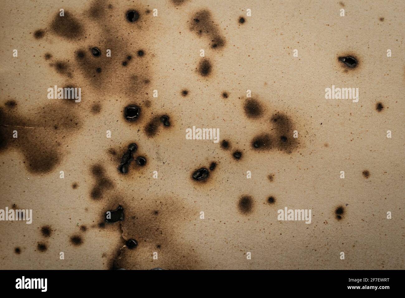 Burnt old piece of paper with small puncture holes visible through it ...