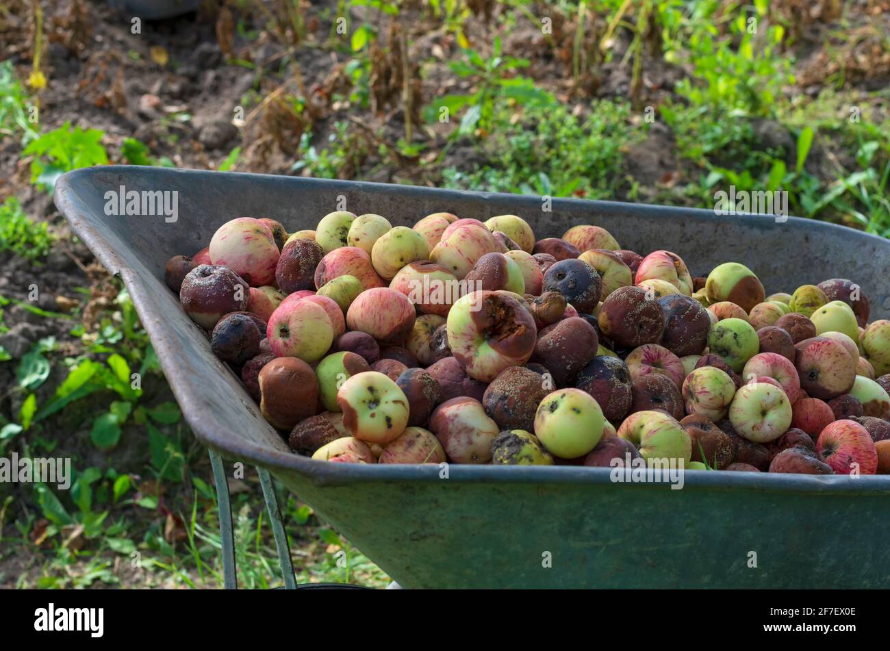 Rotten cart hi-res stock photography and images - Alamy