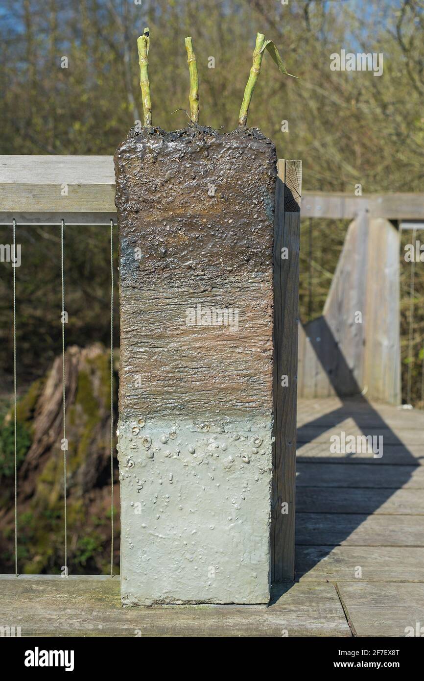 A display of different soil layers. Ground layers on an educational ...