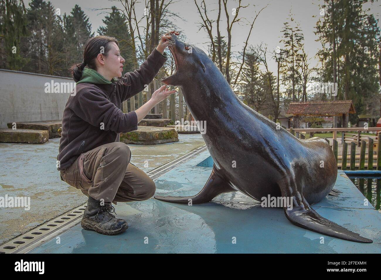 Zoo worker hi-res stock photography and images - Alamy