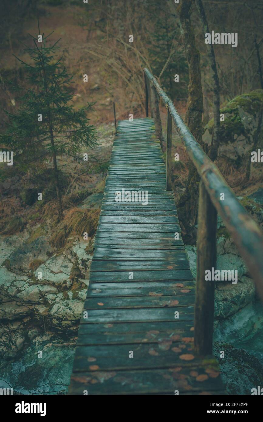 Slippery and scary wooden foot bridge with handrail. Creepy bridge with ...