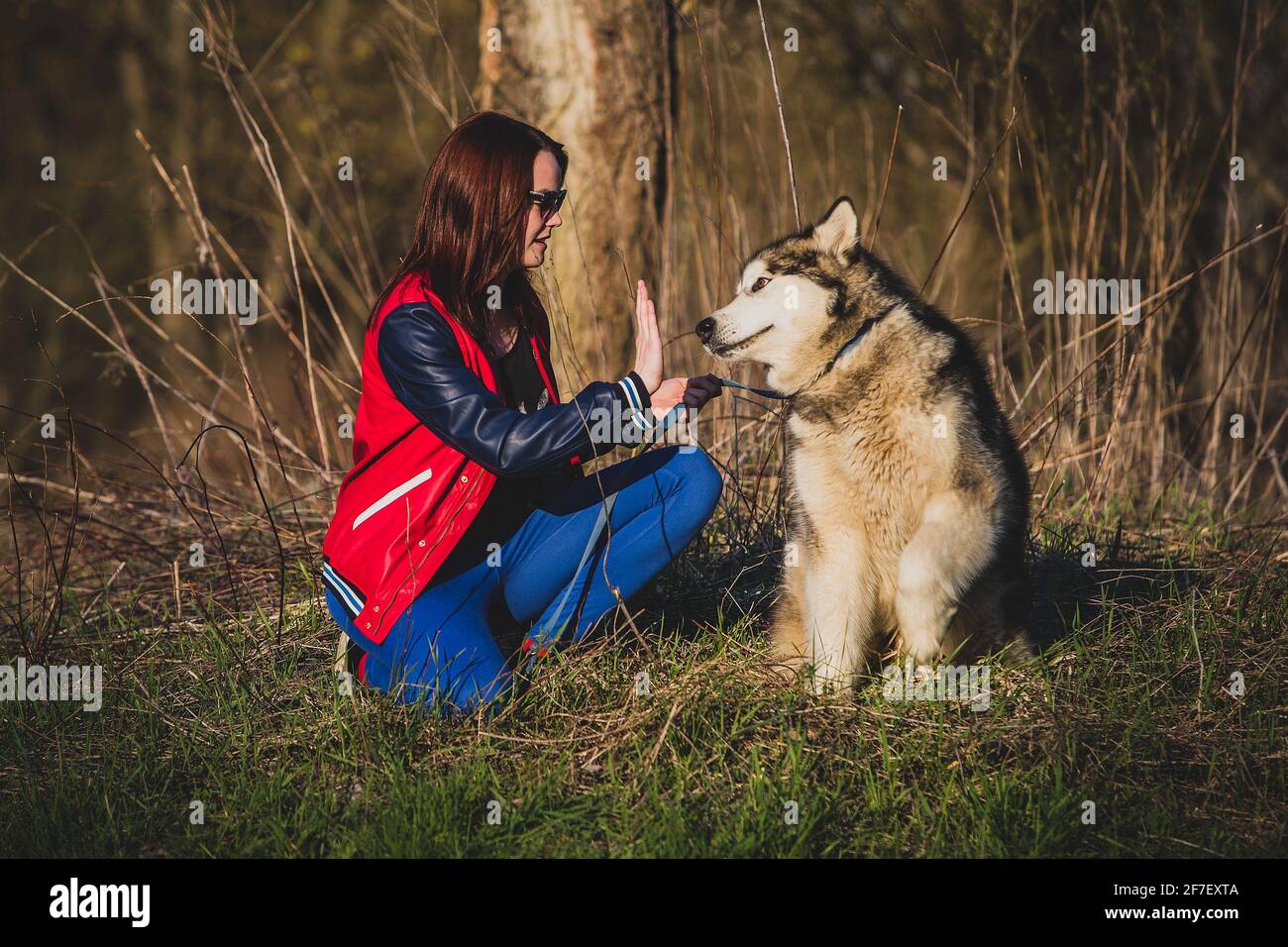 A girl with sunglasses and a husky dog are giving themselves a high ...