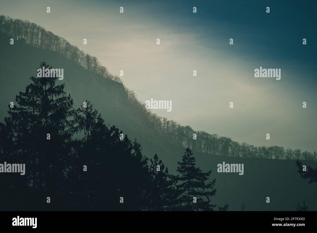Fading hills in a distance. Series of tree lines and hills dissolving ...