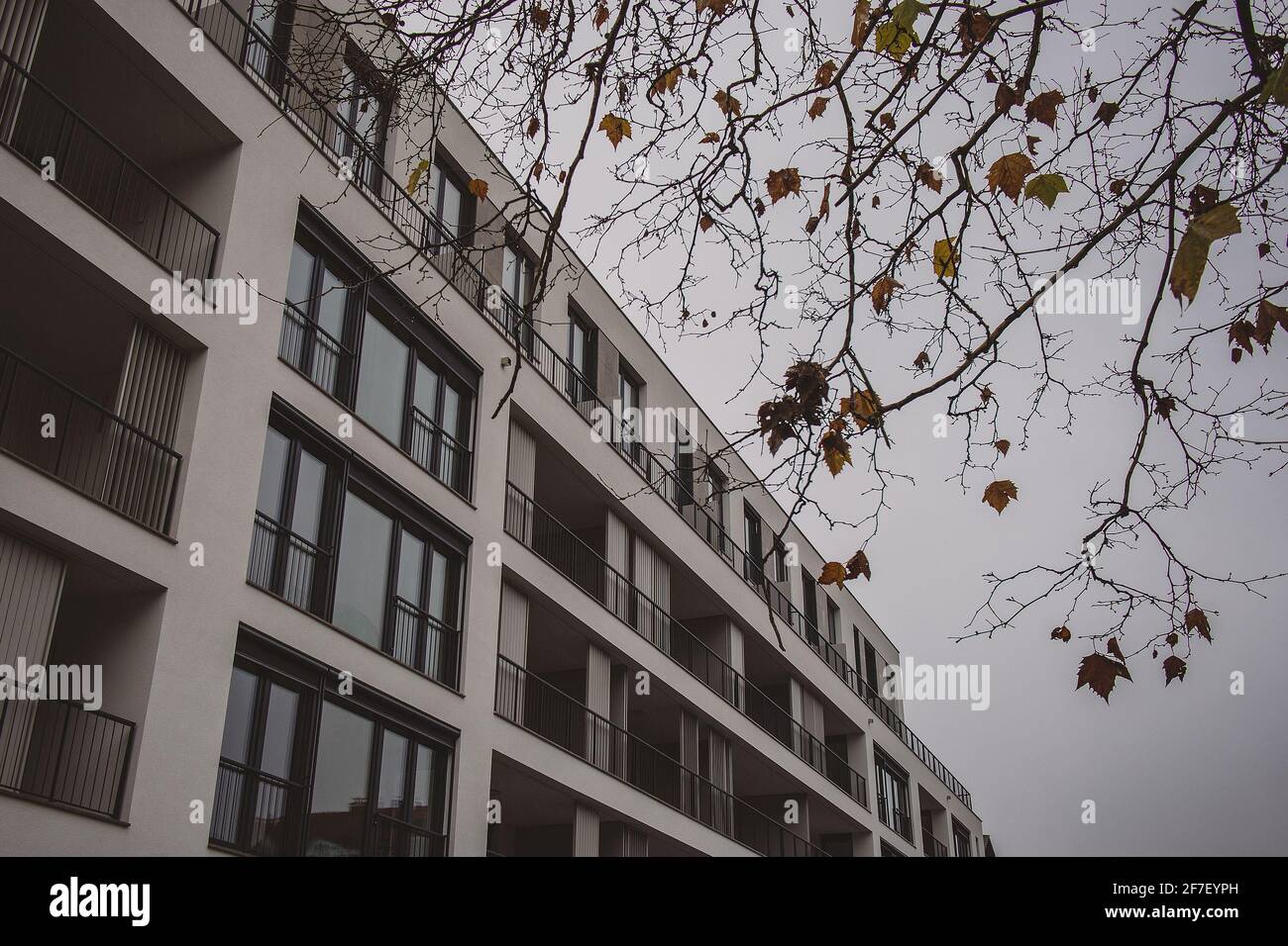 Dull gray hi-res stock photography and images - Alamy