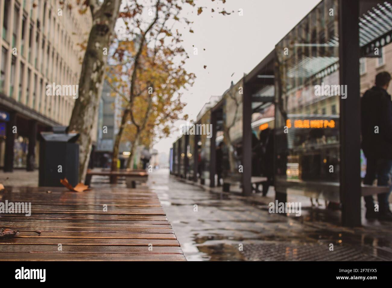 Detail of a wet wooden bench on a bus stop in the city centre. Wooden ...
