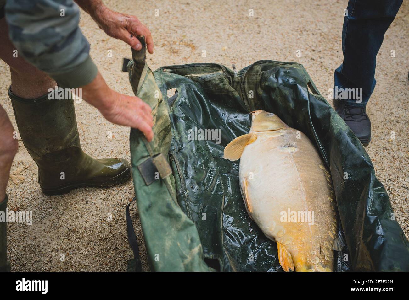 Plastic bag underwater river hi-res stock photography and images - Alamy
