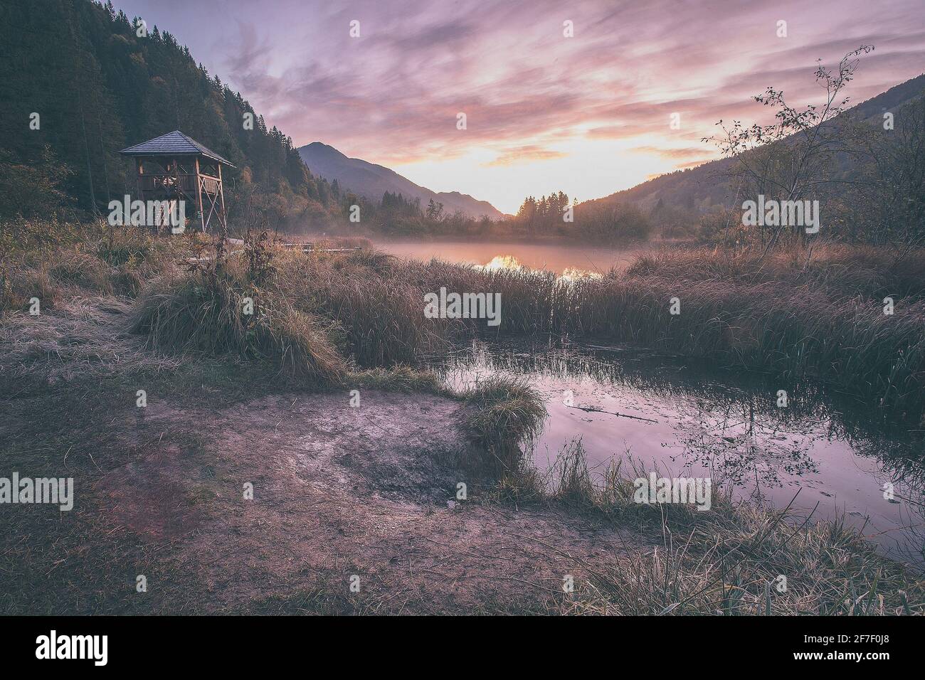Early morning in the nature reservate of Zelenci, Slovenia, the spring ...