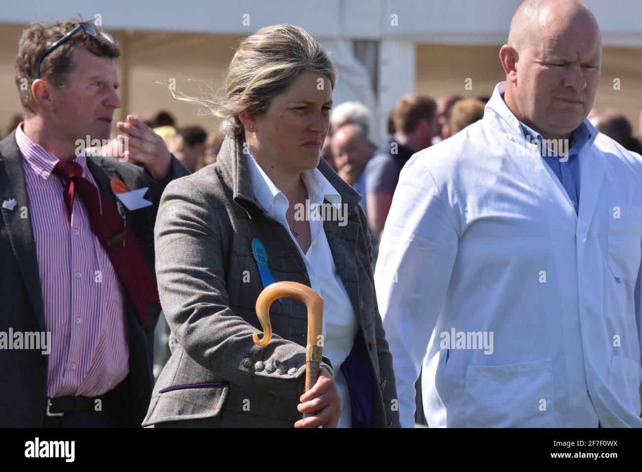 Females judging Balmoral Show Stock Photo - Alamy