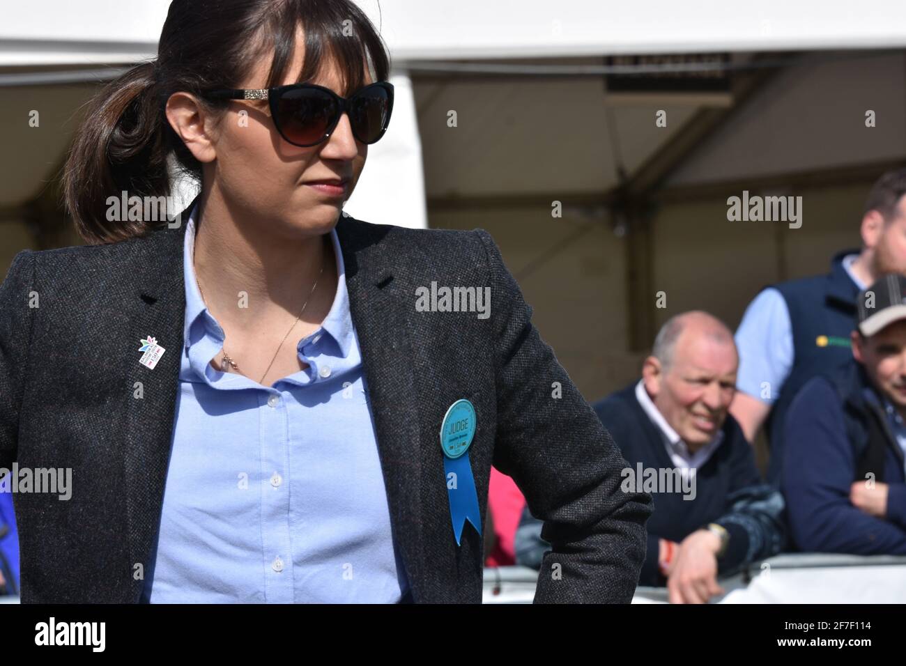 Females judging Balmoral Show Stock Photo - Alamy