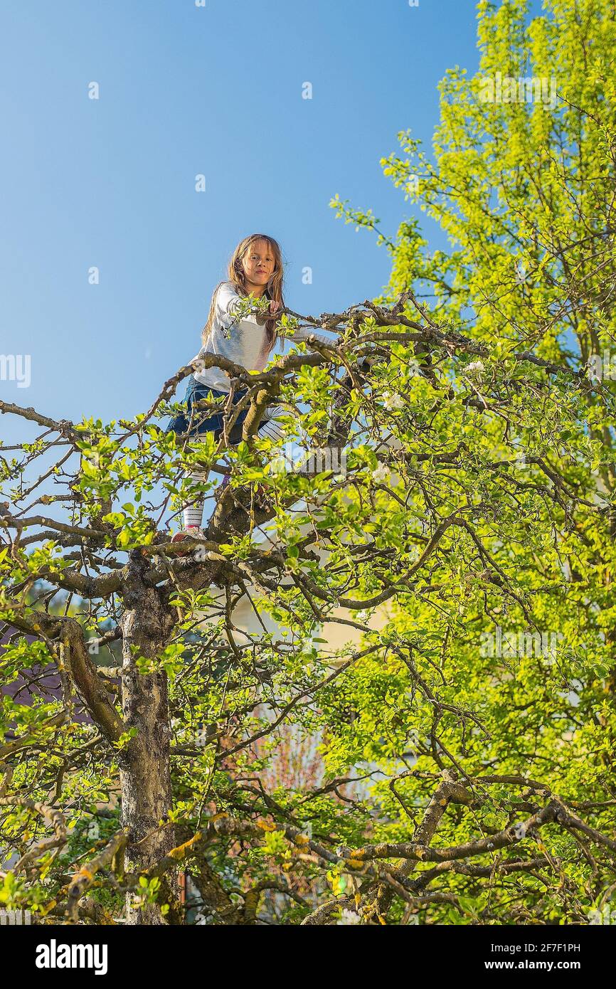 Young blonde caucasian girl climbing on a tree in beautiful sunny ...