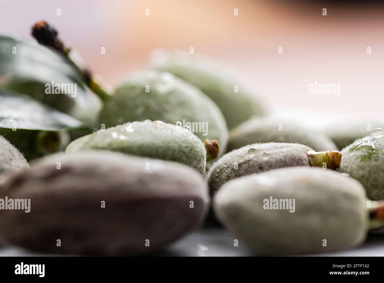 Almonds with shell hi-res stock photography and images - Alamy