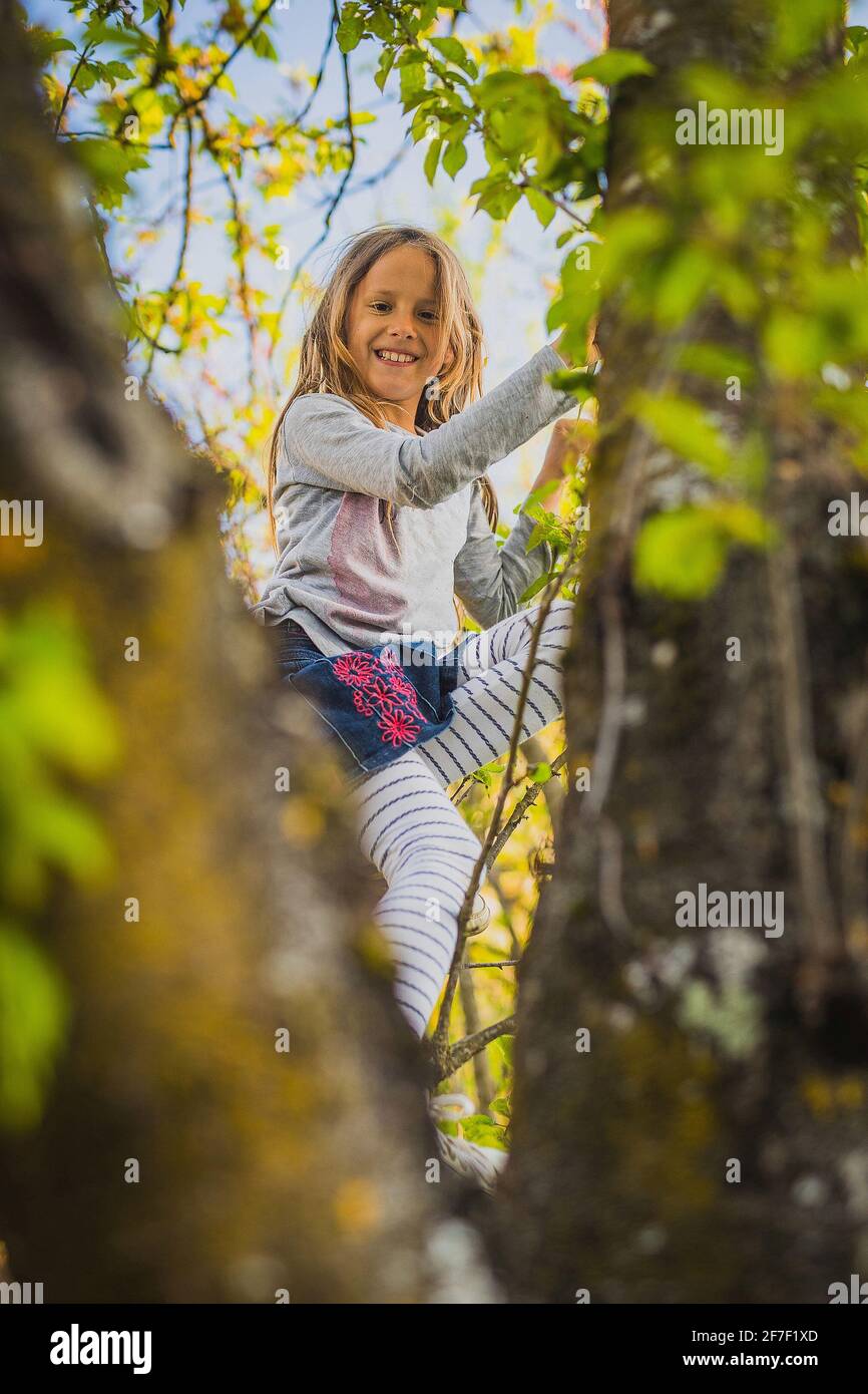 Young blonde caucasian girl climbing on a tree in beautiful sunny ...