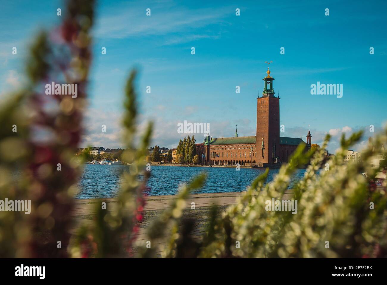 Picturesque afternoon photo of Stockholm city hall castle viewed from ...
