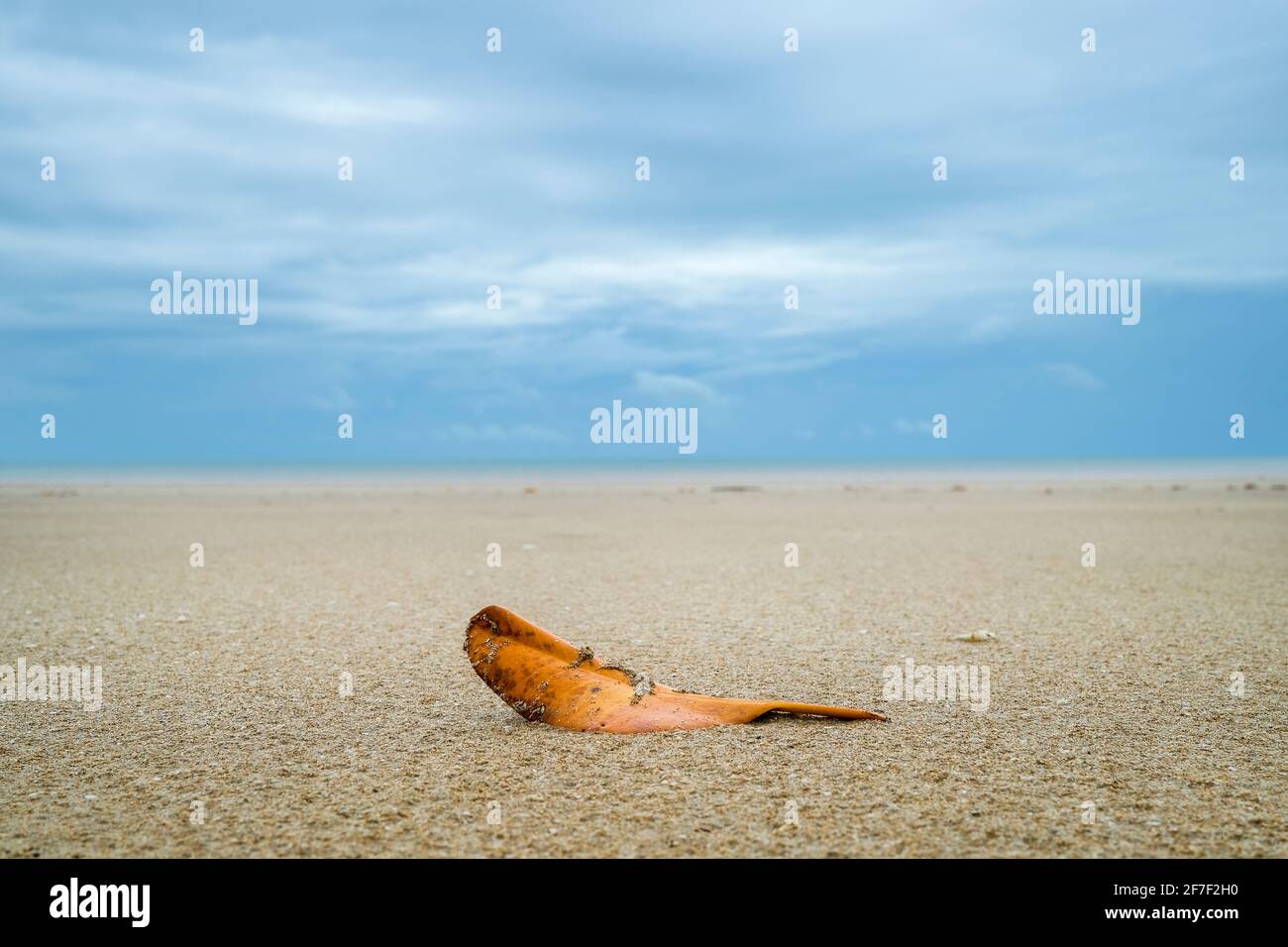 Casuarina beach nt hi-res stock photography and images - Alamy