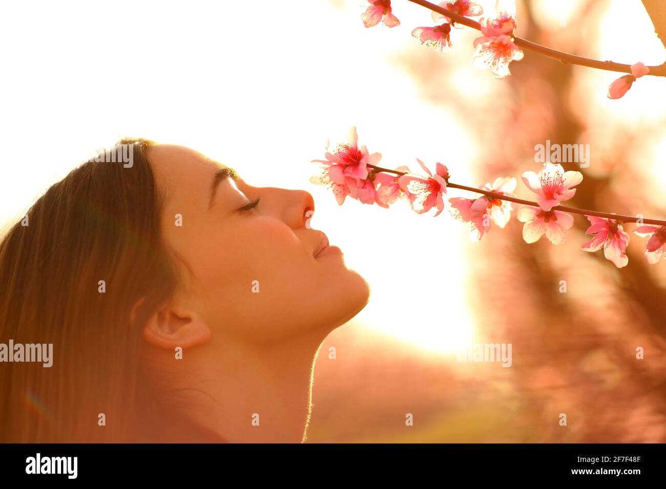 Happy smelling flowers garden hi-res stock photography and images - Alamy