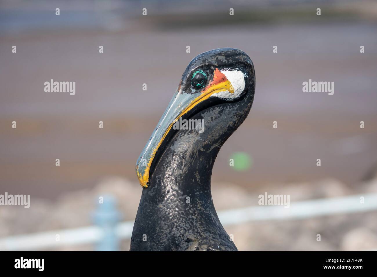 English sea birds hi-res stock photography and images - Alamy
